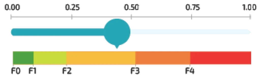 LIVERFAST - FIBRONOSTICS