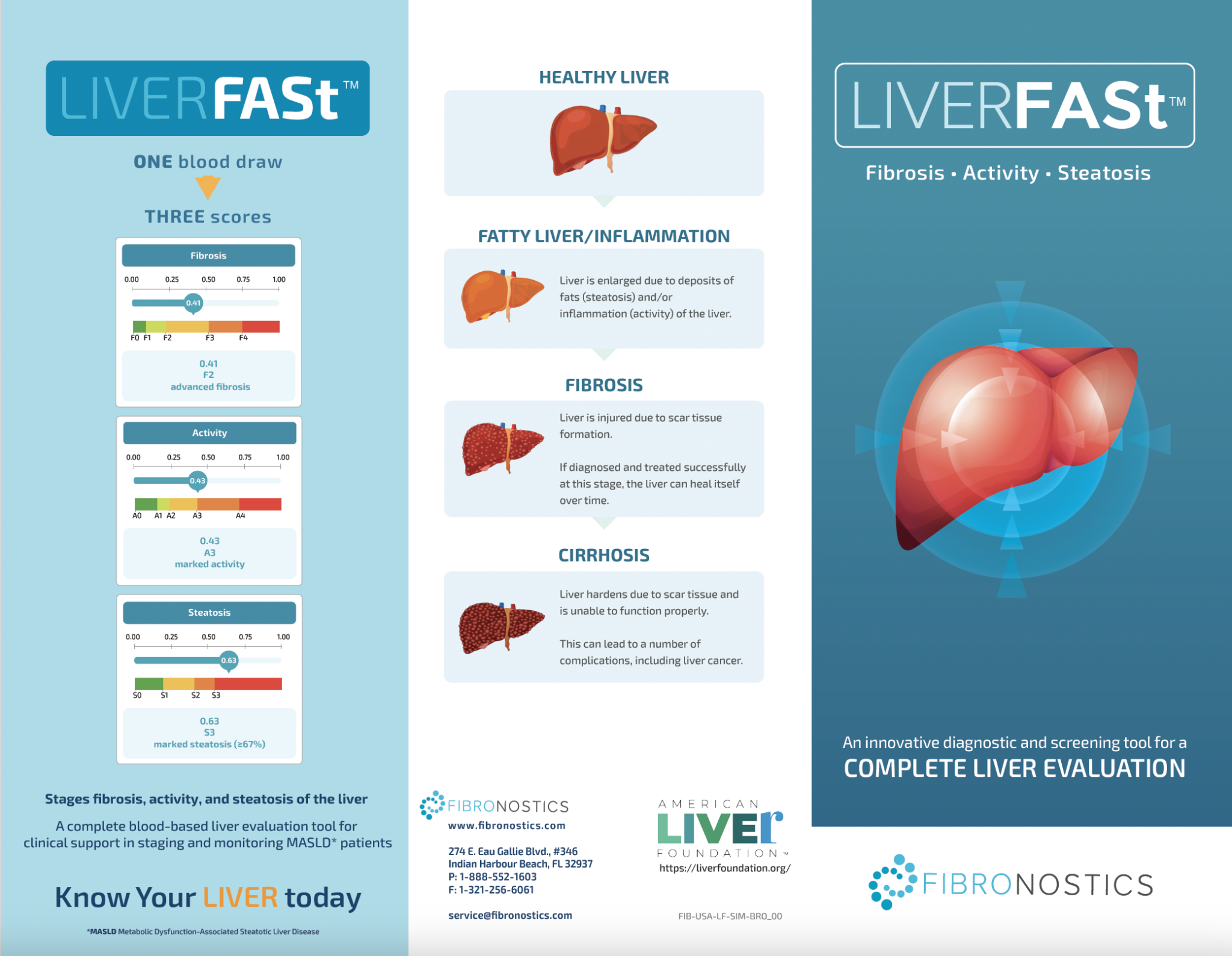 LIVERFASt - Simplified Brochure - FIBRONOSTICS